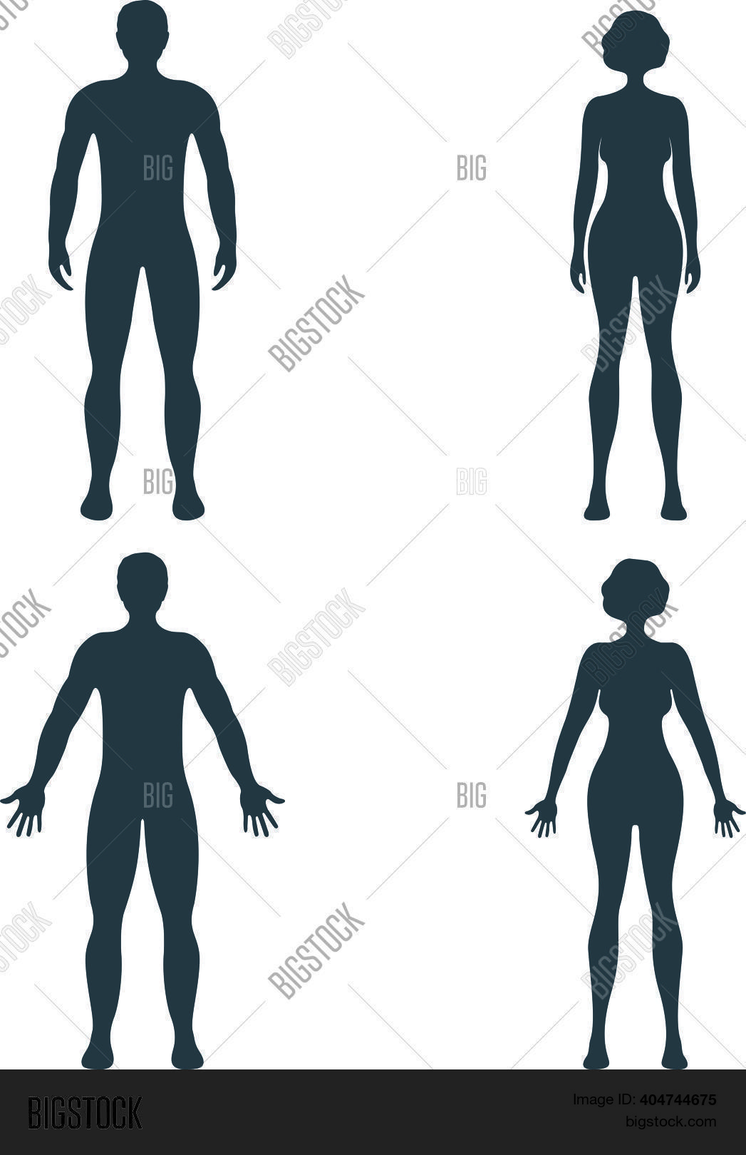Human Body Silhouette Clip Art