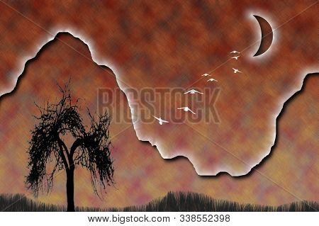 Composition Naked Tree Image Photo Free Trial Bigstock