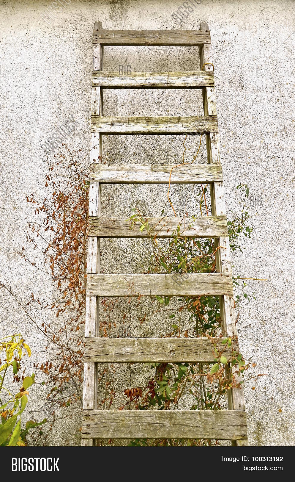 Old Wood Ladder On Image & Photo (Free Trial) | Bigstock