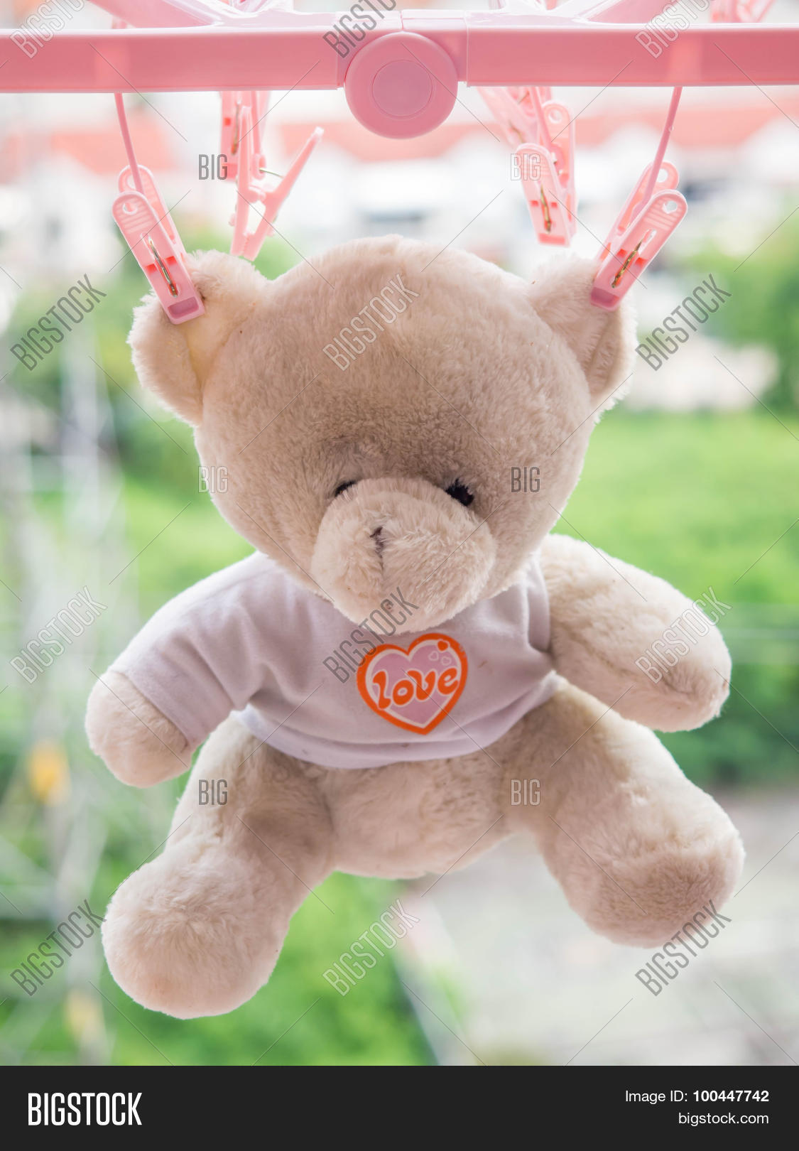 Hanging Teddy Bear Image & Photo (Free Trial) | Bigstock