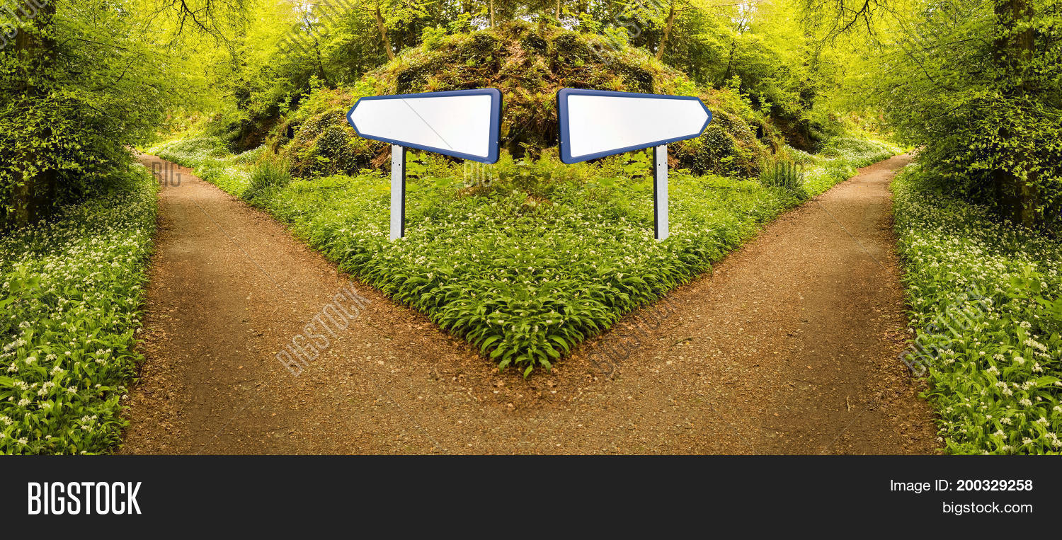 Conceptual Photo Fork Image & Photo (Free Trial) | Bigstock