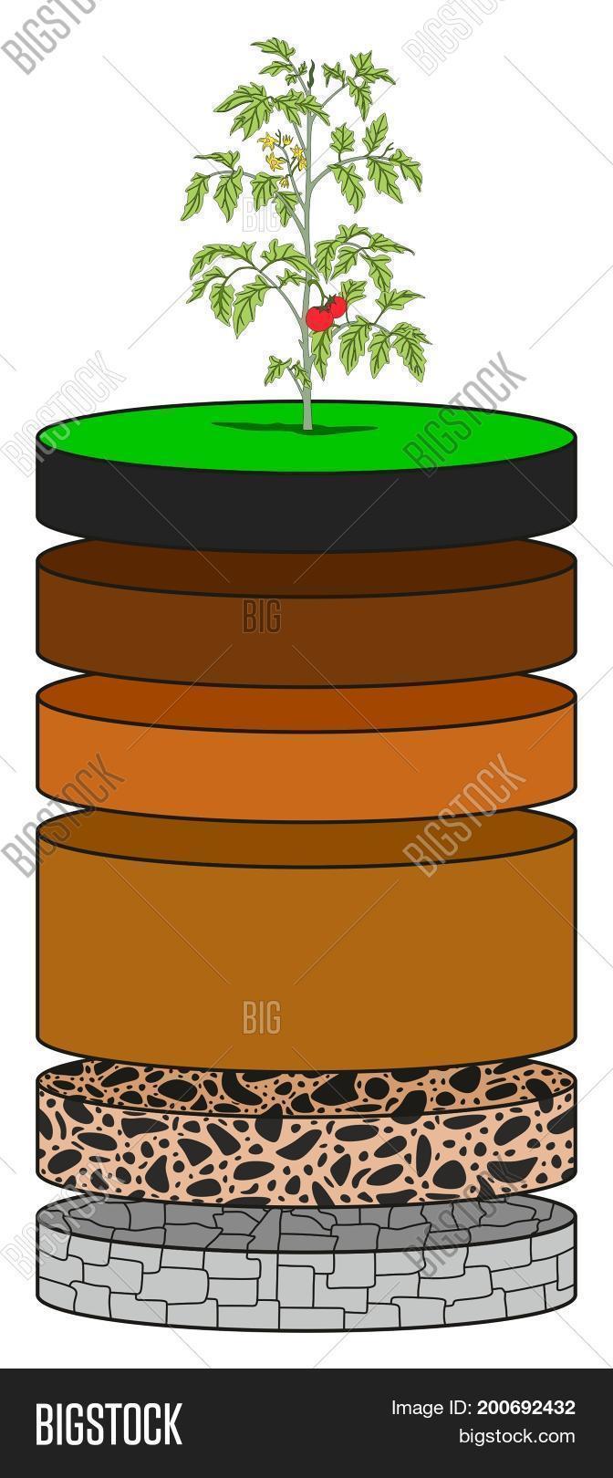 Soil Layers Image & Photo (Free Trial) | Bigstock