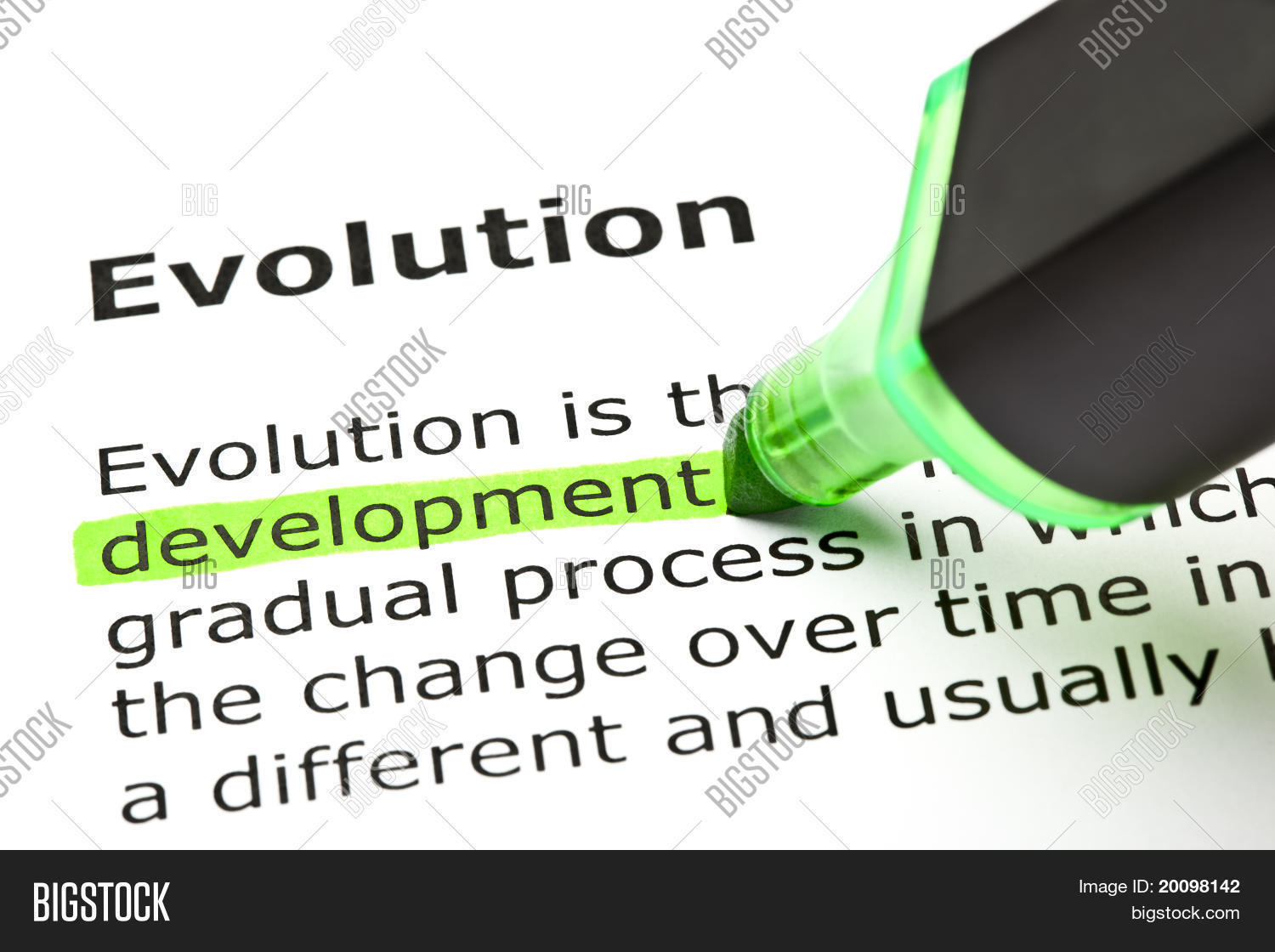 Evolution Definition Image & Photo (Free Trial) | Bigstock