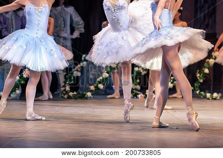 Dancing, Passion, Image & Photo (Free Trial) | Bigstock