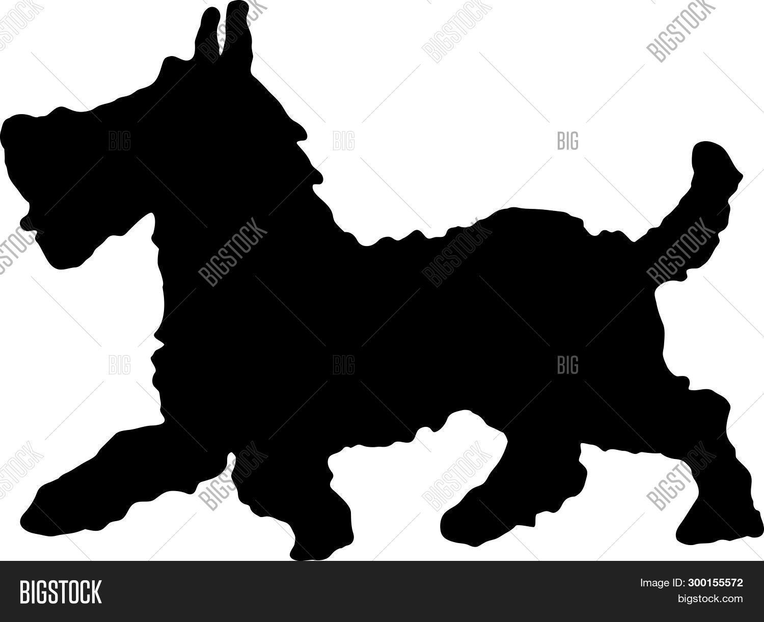 Scottie Dog Vector & Photo (Free Trial) | Bigstock