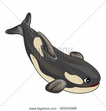 Orca Whale Icon. Image & Photo (Free Trial) | Bigstock