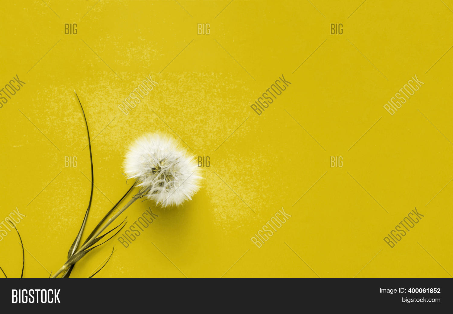 Creative Yellow Image & Photo (Free Trial) | Bigstock