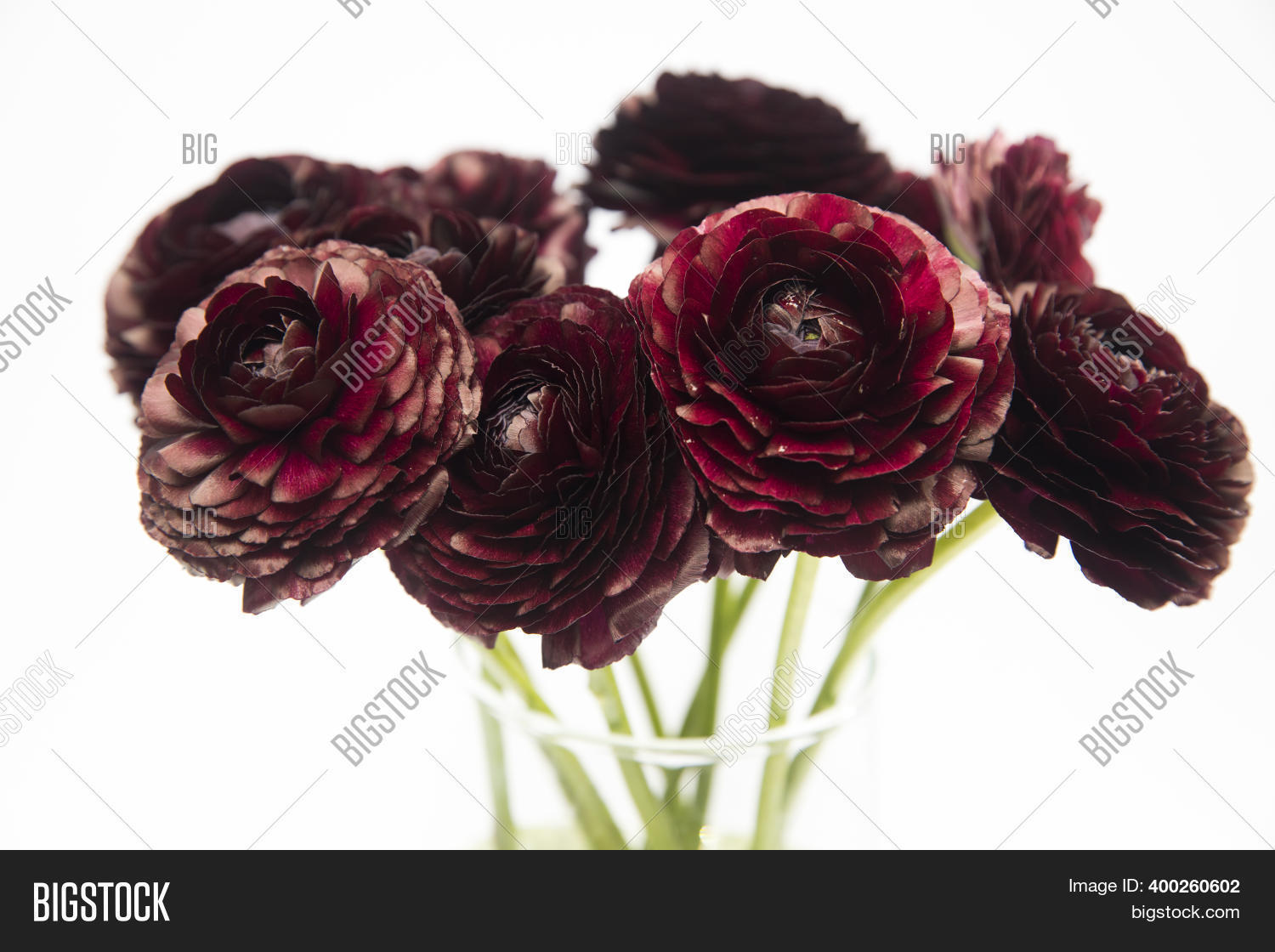 Bouquet Dark Brown Image & Photo (Free Trial) | Bigstock
