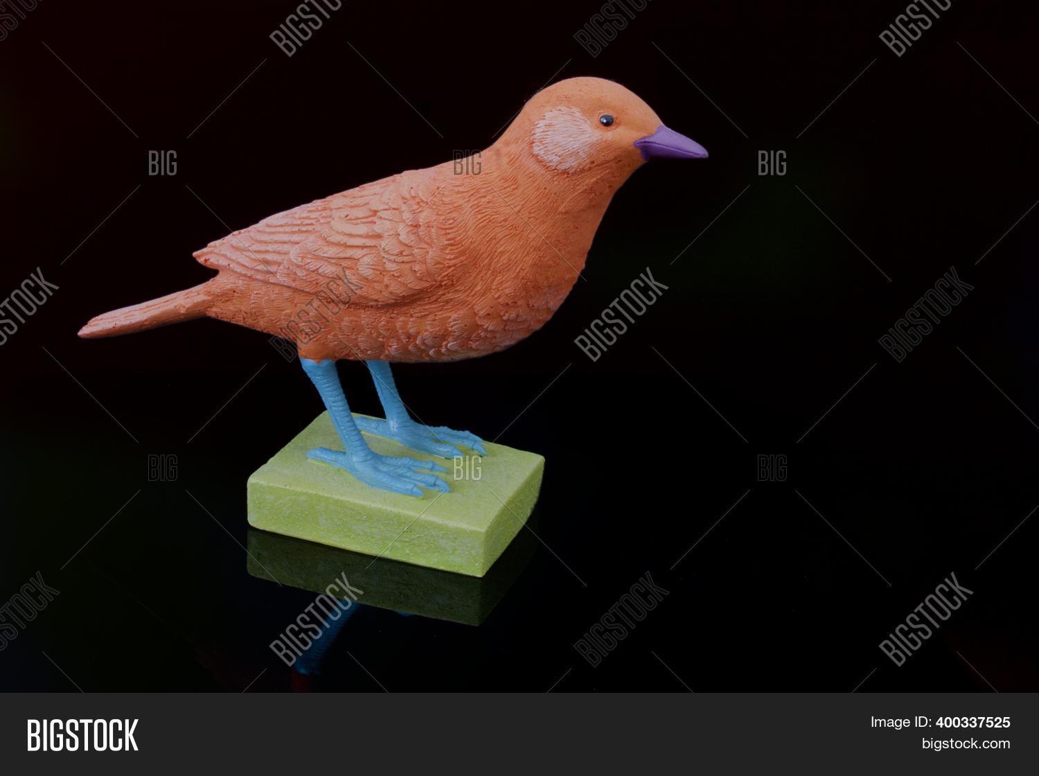 Bright Tropical Bird Image & Photo (Free Trial) | Bigstock