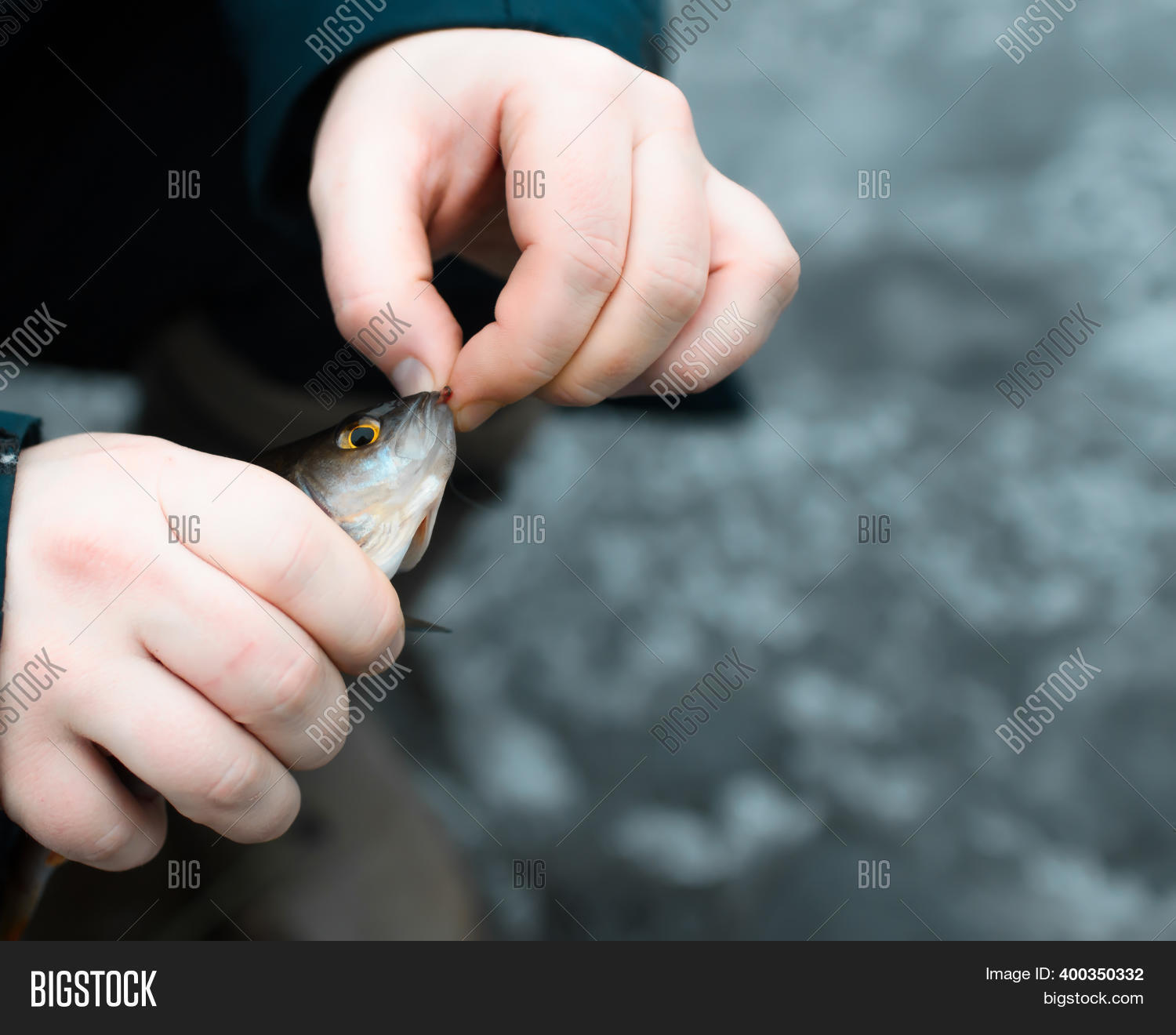 Caught Fish Close-. Image & Photo (Free Trial) | Bigstock