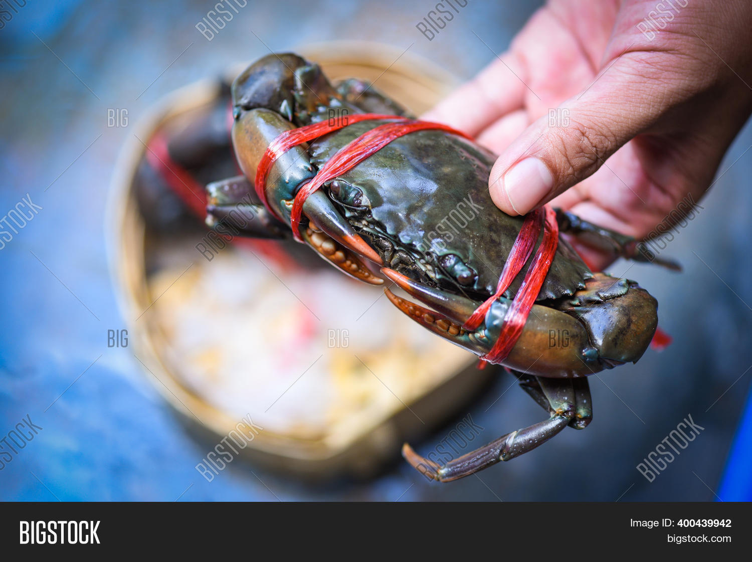Seafood Crab On Hand Image & Photo (Free Trial) | Bigstock