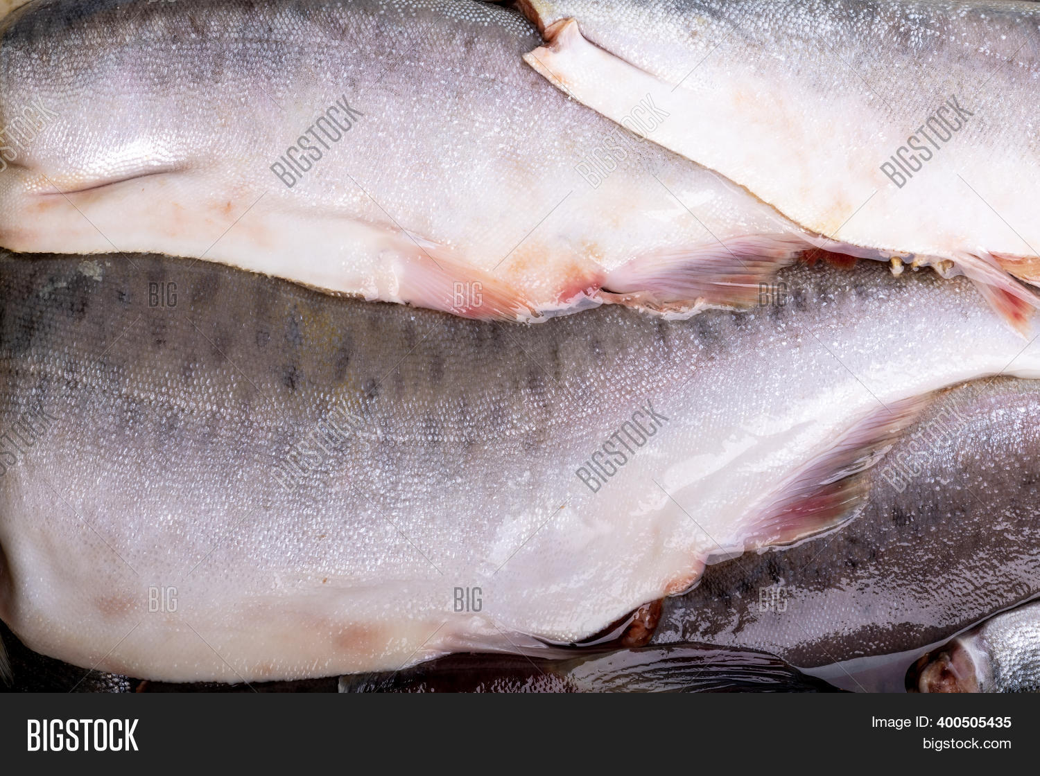 Close Pink Salmon Image & Photo (Free Trial) | Bigstock