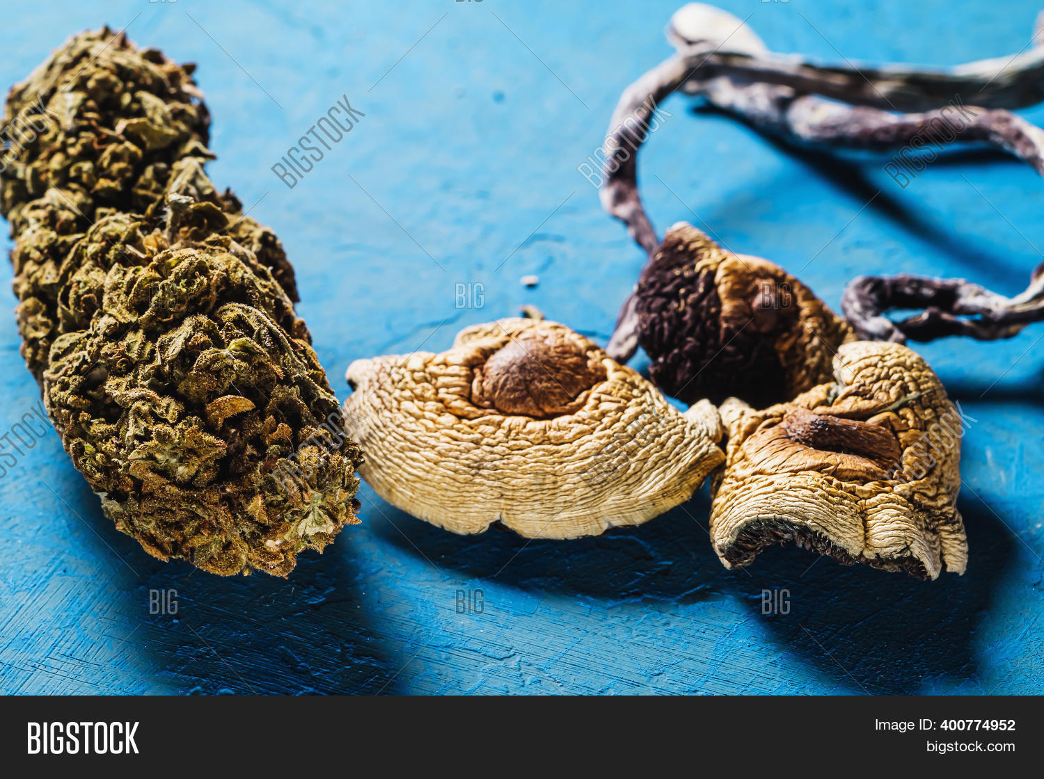 Bud Medical Cannabis Image & Photo (Free Trial) | Bigstock