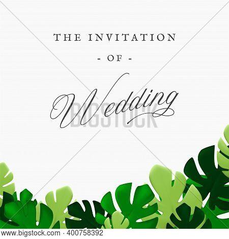 Monstera Leaf Border Vector & Photo (Free Trial) | Bigstock