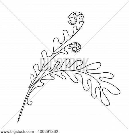 One Line Drawing Fern Vector & Photo (Free Trial) | Bigstock