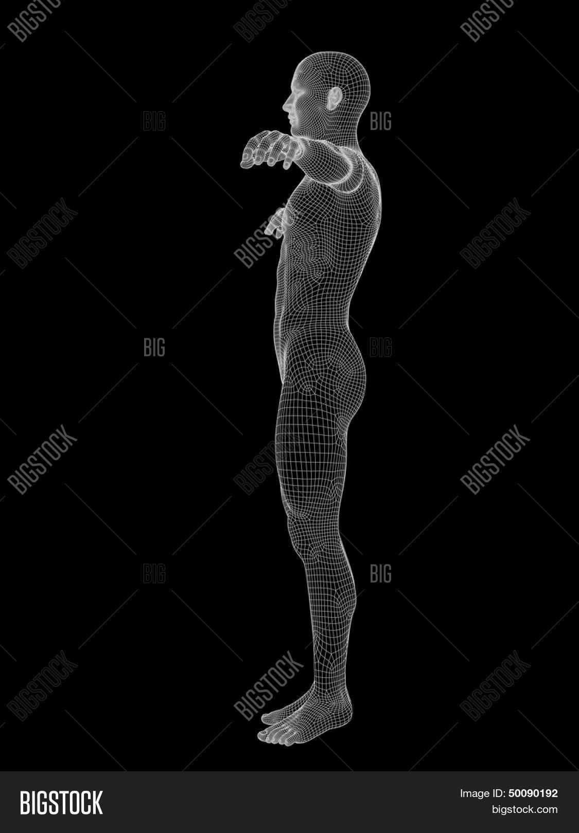 3D Human Male Anatomy Image & Photo (Free Trial) | Bigstock