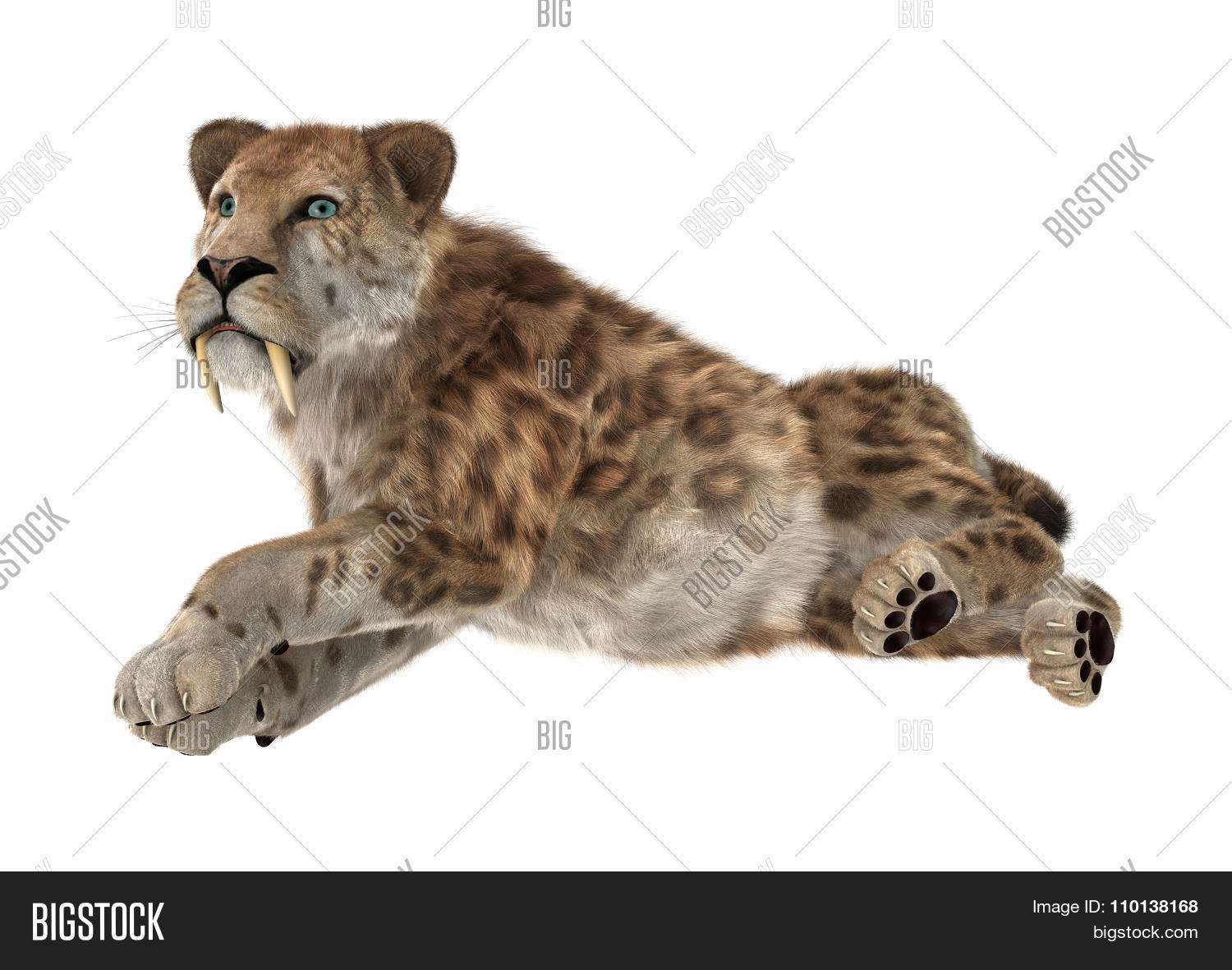 Big Cat Sabertooth Image & Photo (Free Trial) | Bigstock