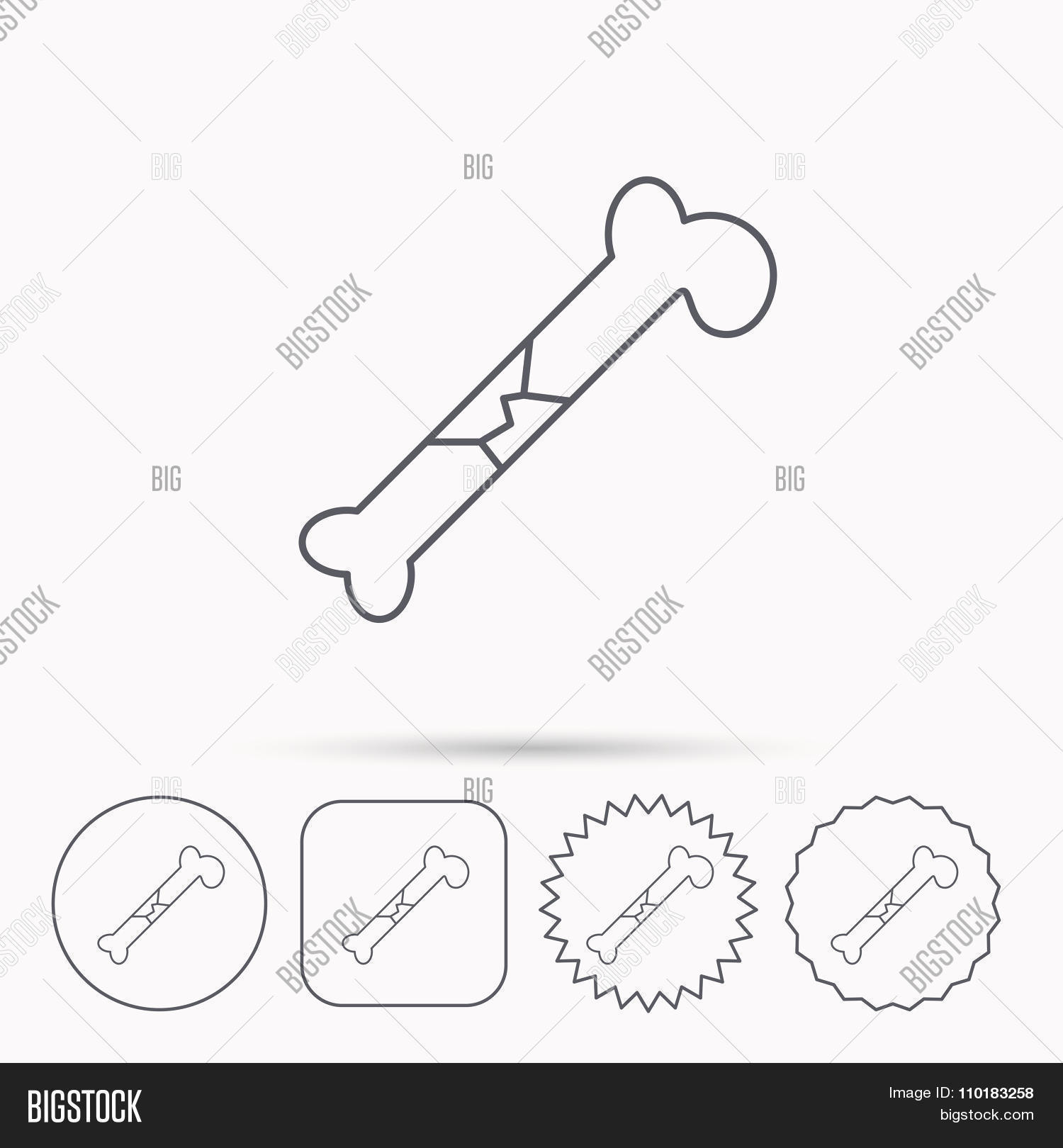 Bone Fracture Icon. Vector & Photo (Free Trial) | Bigstock