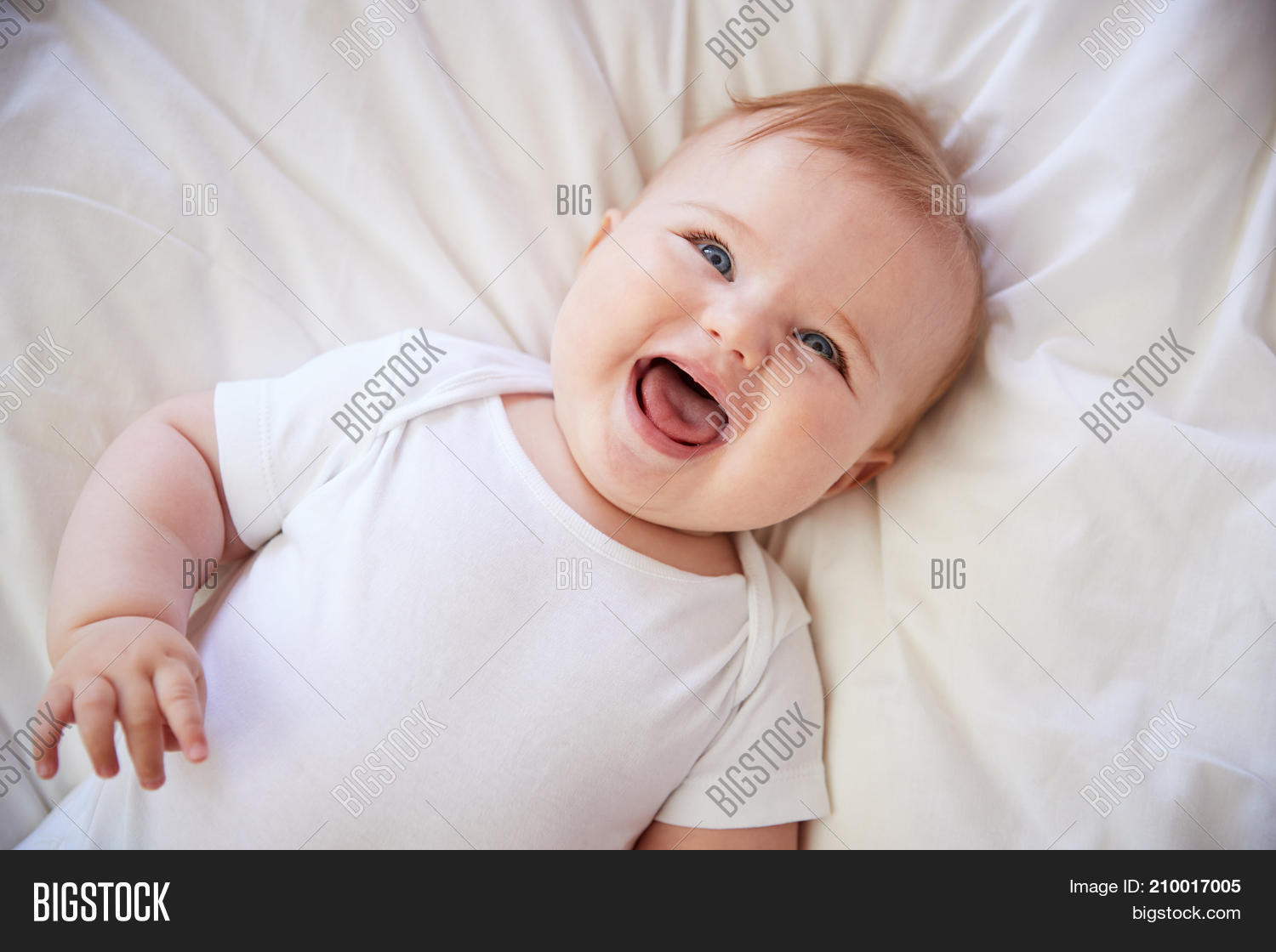 Overhead Shot Happy Image & Photo (Free Trial) | Bigstock