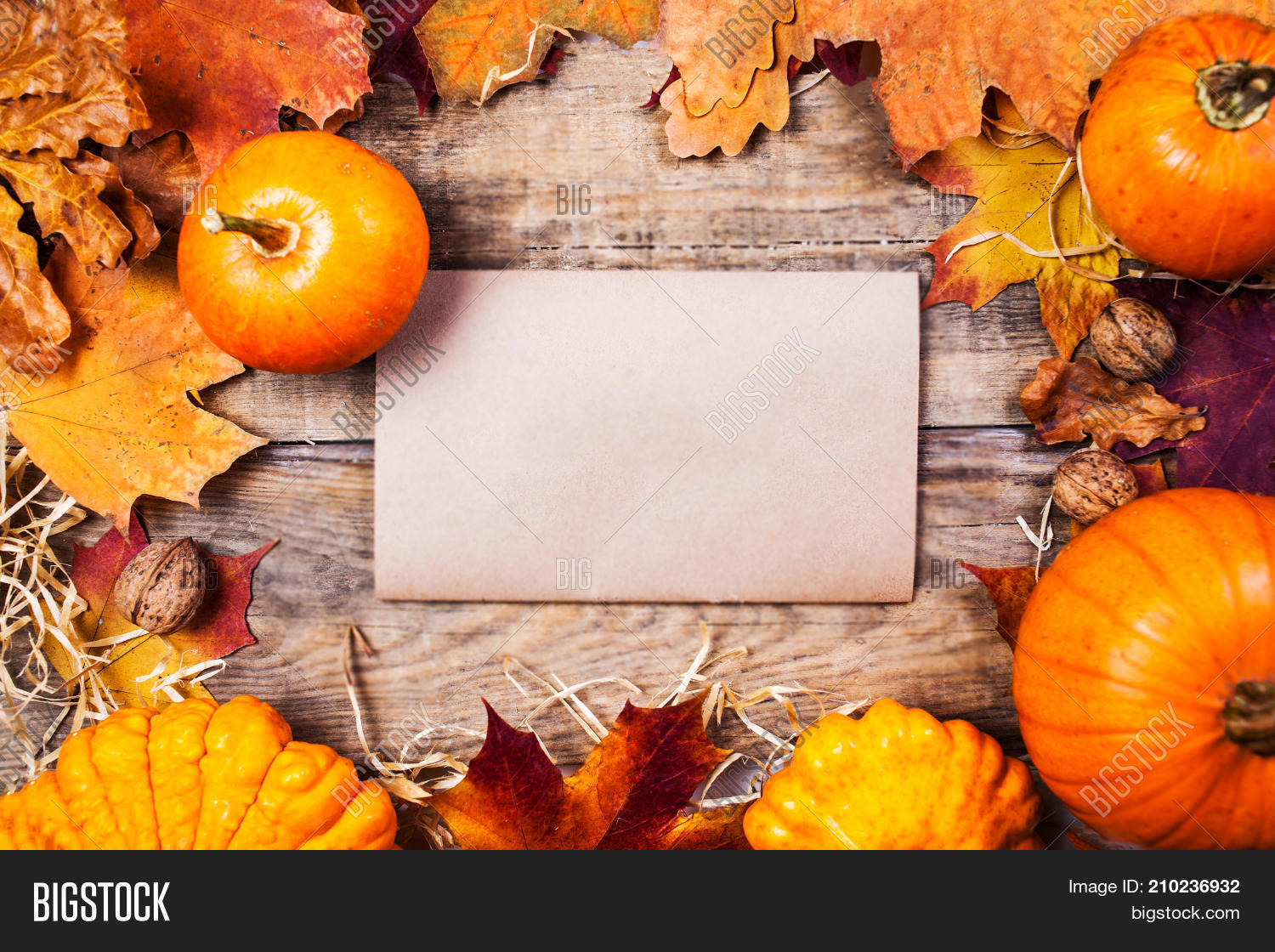 Thanksgiving Border Image & Photo (Free Trial) | Bigstock