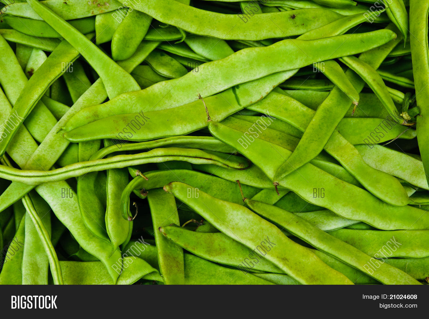 Green Runner Beans Image & Photo (Free Trial) | Bigstock