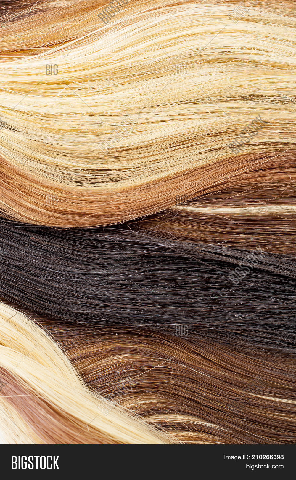 Real Woman Hair Image & Photo (Free Trial) | Bigstock