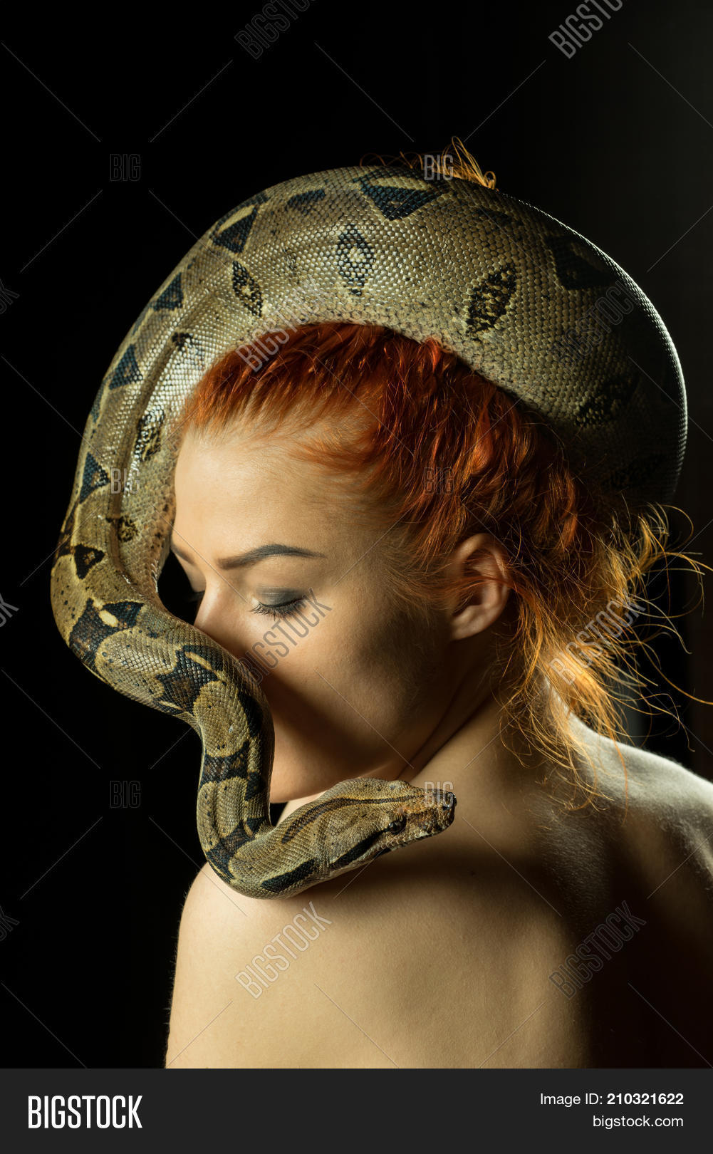 Boa Constrictor Spots