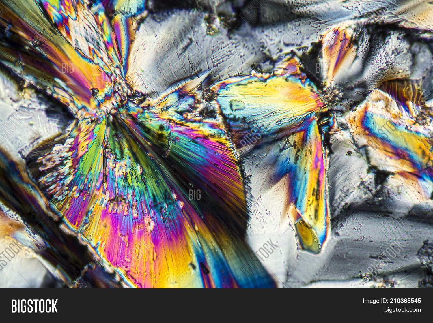 Microscopic Shot Image & Photo (Free Trial) | Bigstock