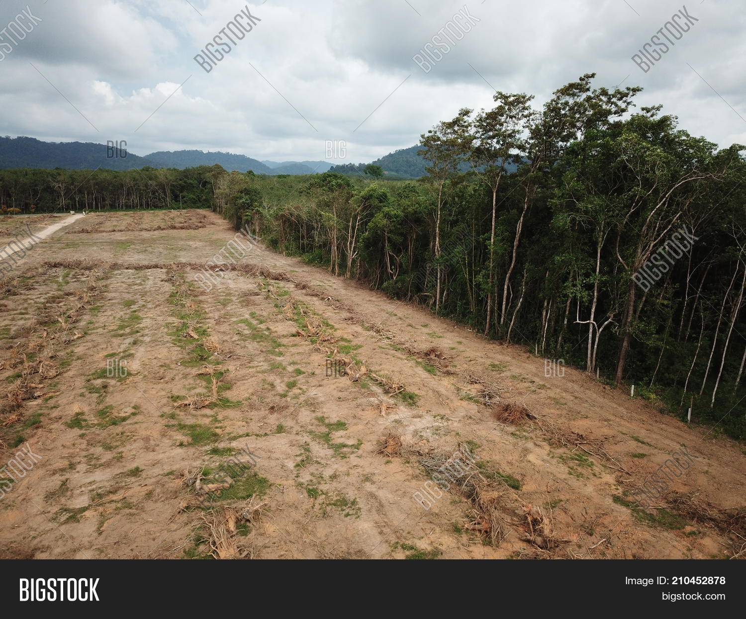 Deforestation, Logging Image & Photo (Free Trial) | Bigstock