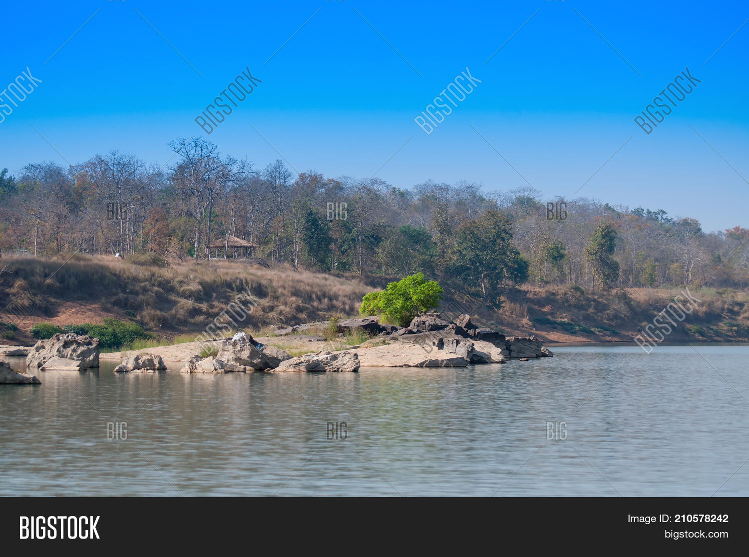 Beautiful Panna River Image & Photo (Free Trial) | Bigstock