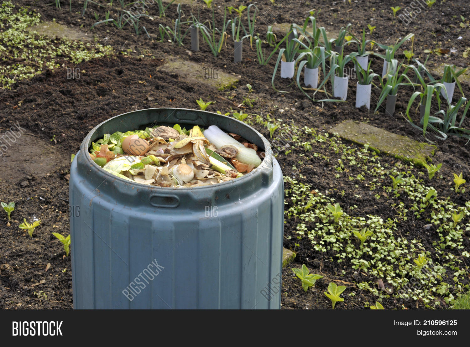 Kitchen Waste Image & Photo (Free Trial) | Bigstock