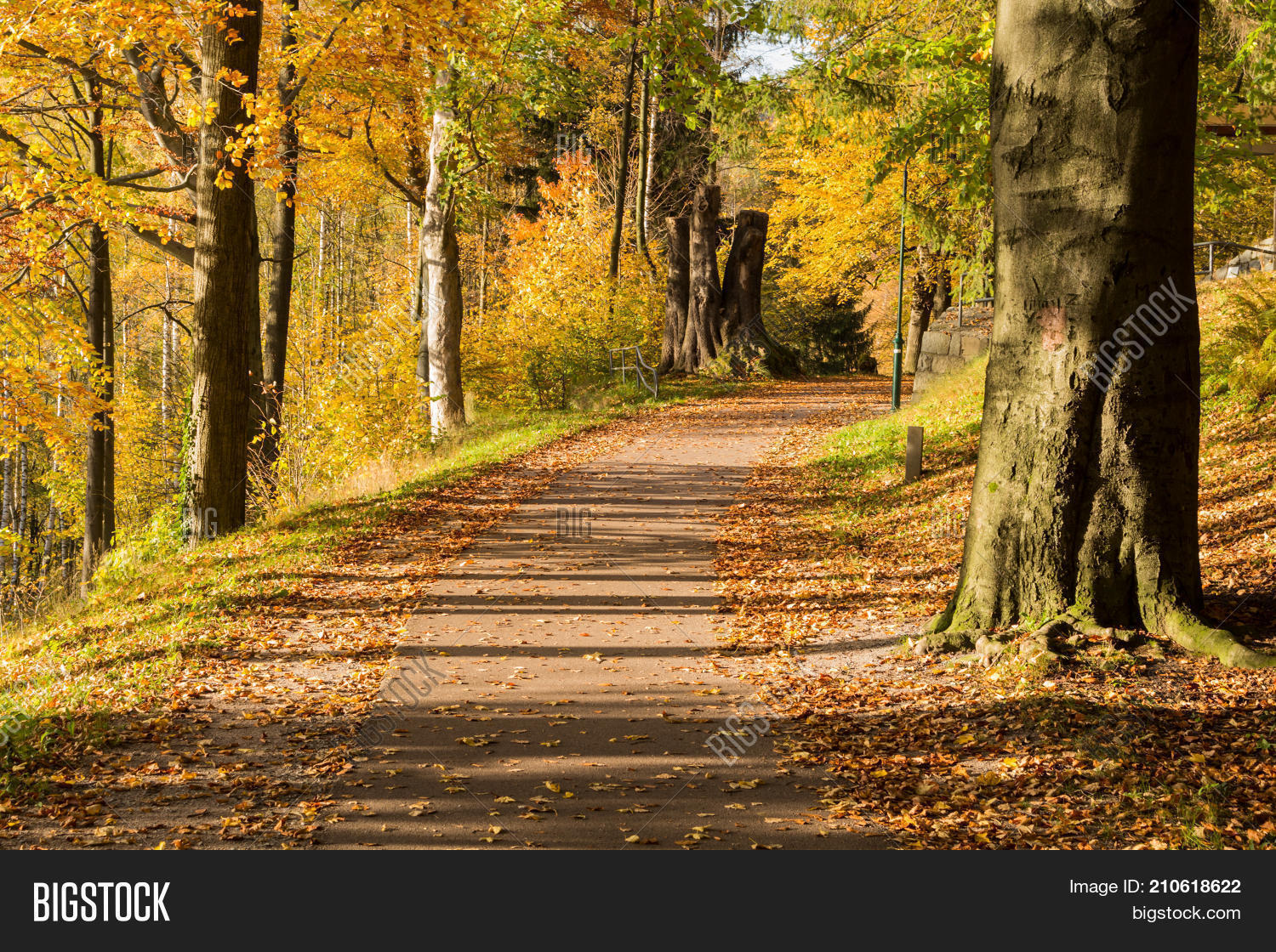 Narrow Path Lit By Image & Photo (Free Trial) | Bigstock