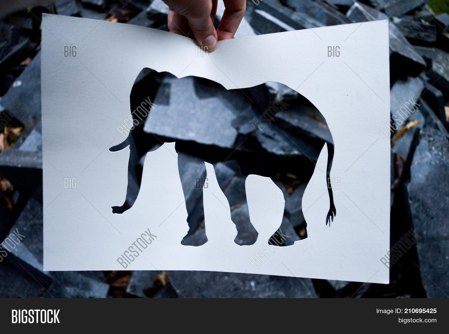 Crafting Cut Out Work Image & Photo (Free Trial) | Bigstock