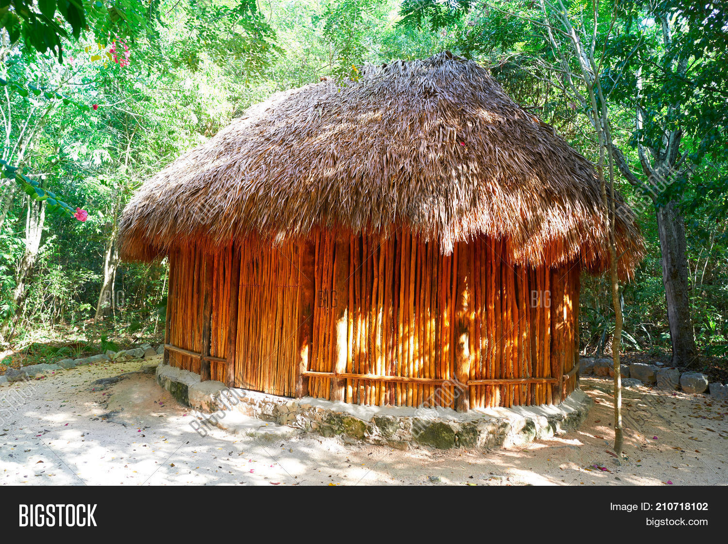 Palapas Mexican House