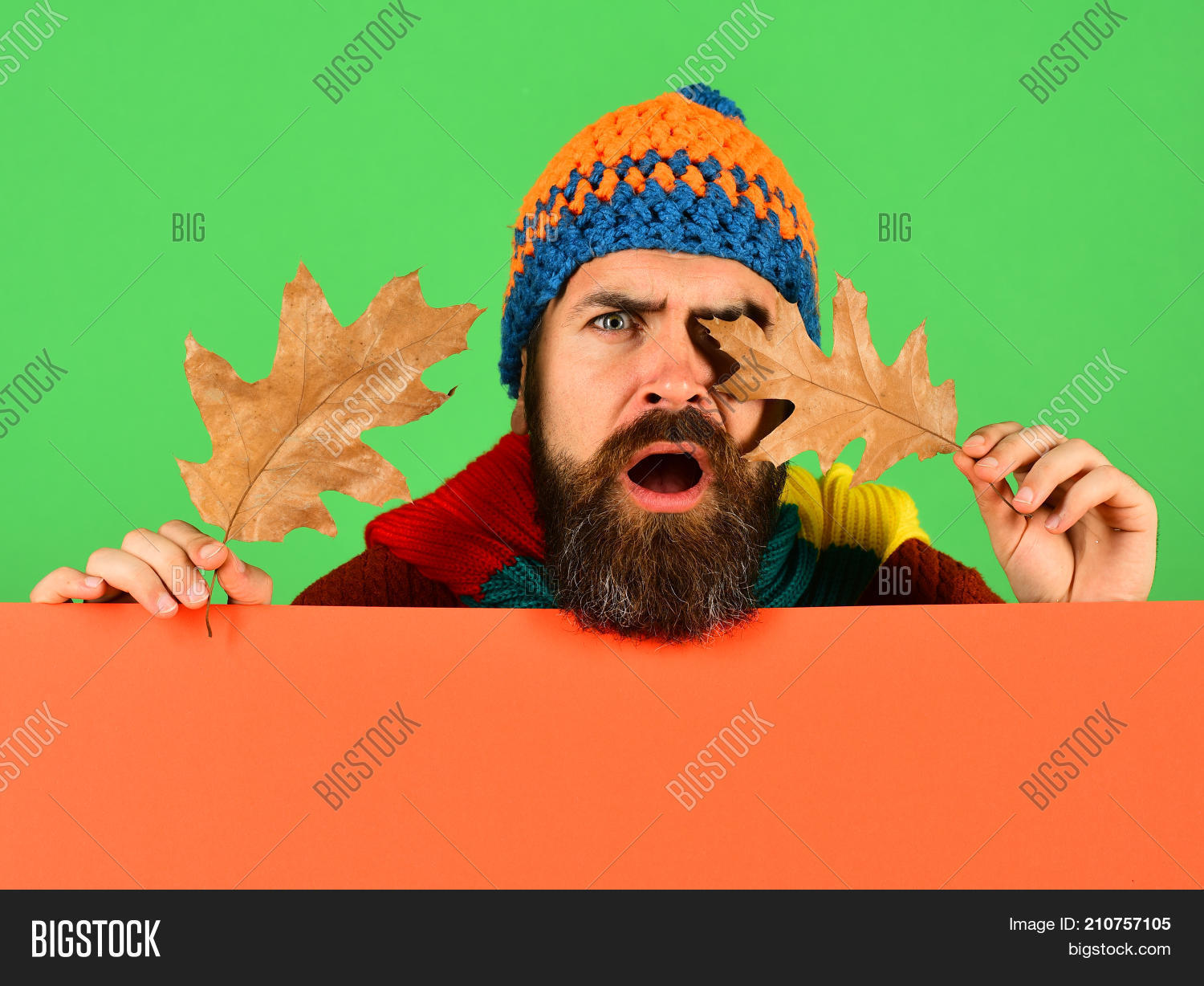 Hipster Beard Shocked Image & Photo (Free Trial) | Bigstock