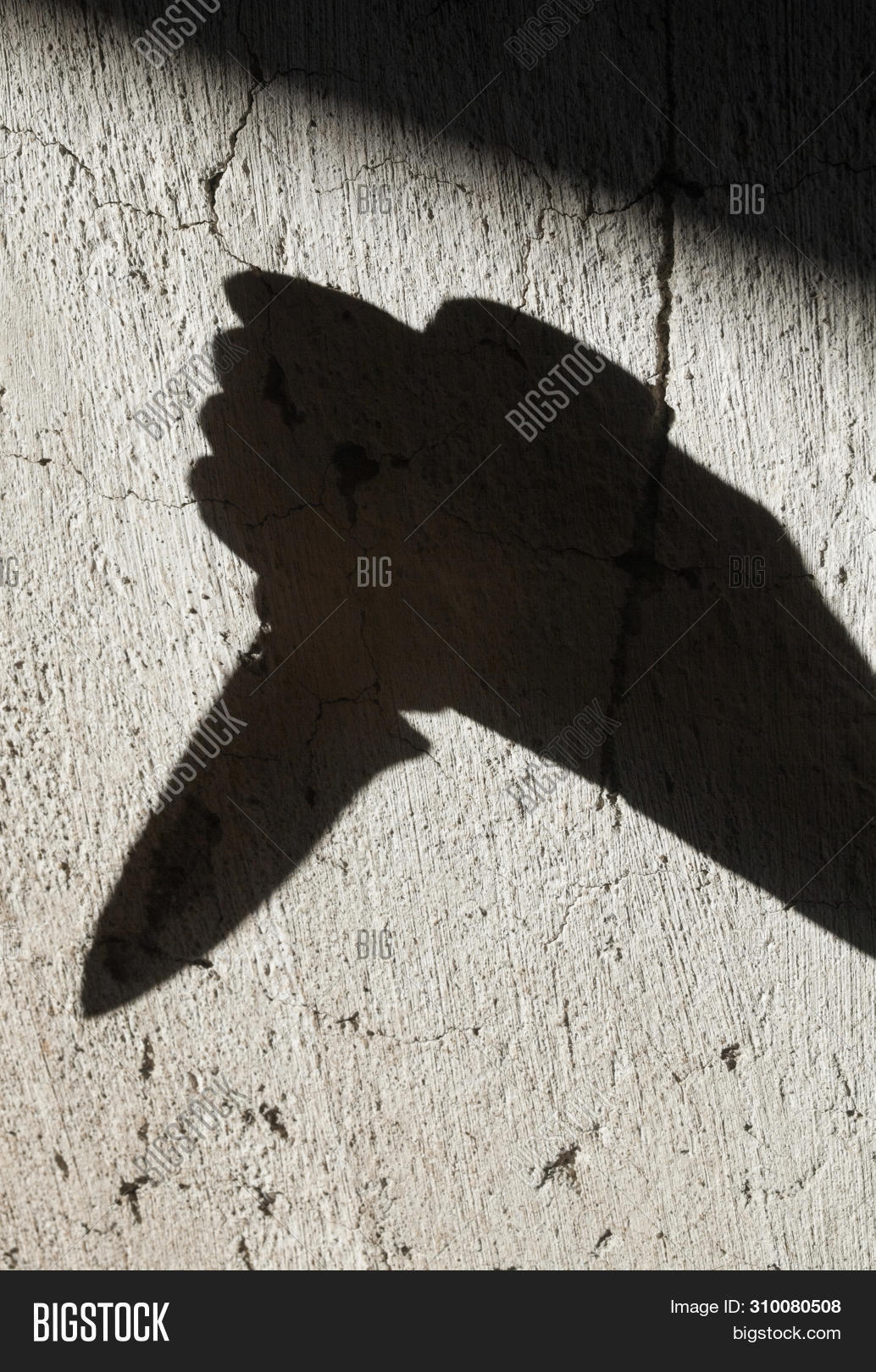 Shadow Hand Holding Image & Photo (Free Trial) | Bigstock