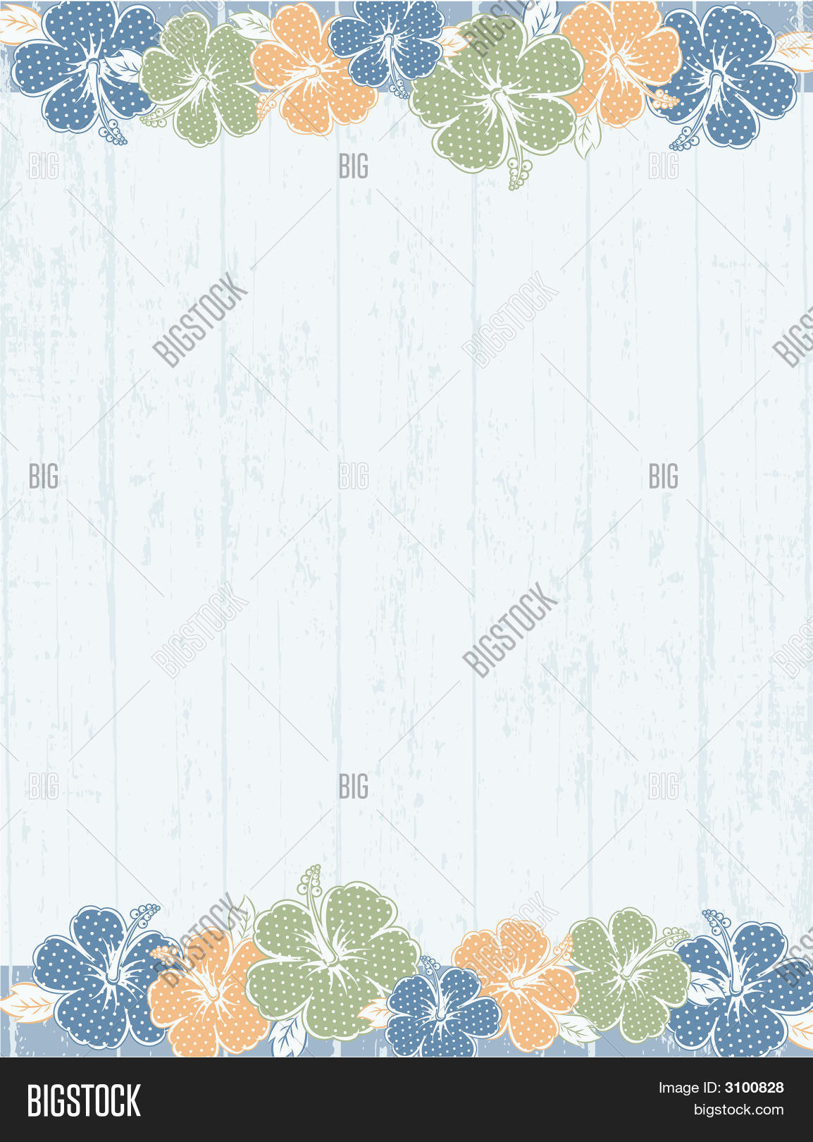 Frame Hibiscus On Vector & Photo (Free Trial) | Bigstock