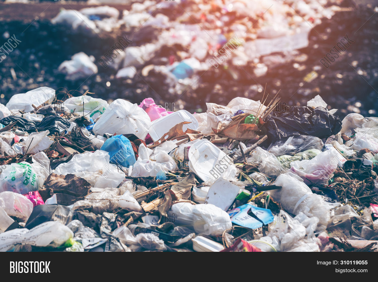 Pollution Concept. Image & Photo (Free Trial) | Bigstock