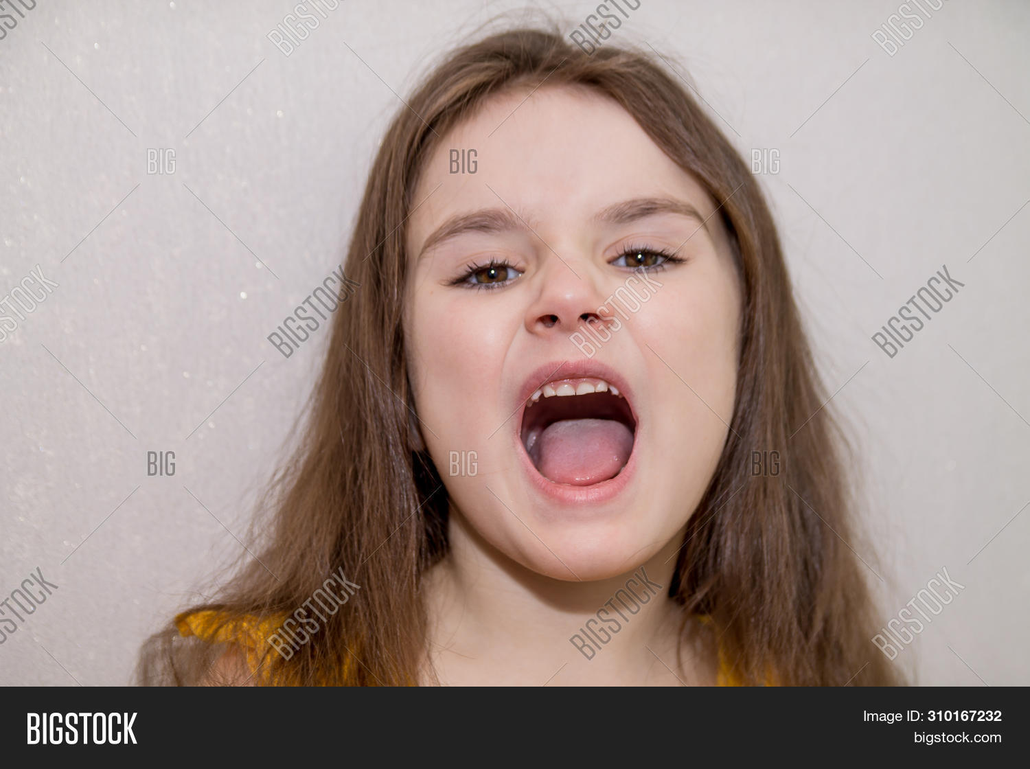 Little Agressive Angry Image & Photo (Free Trial) | Bigstock