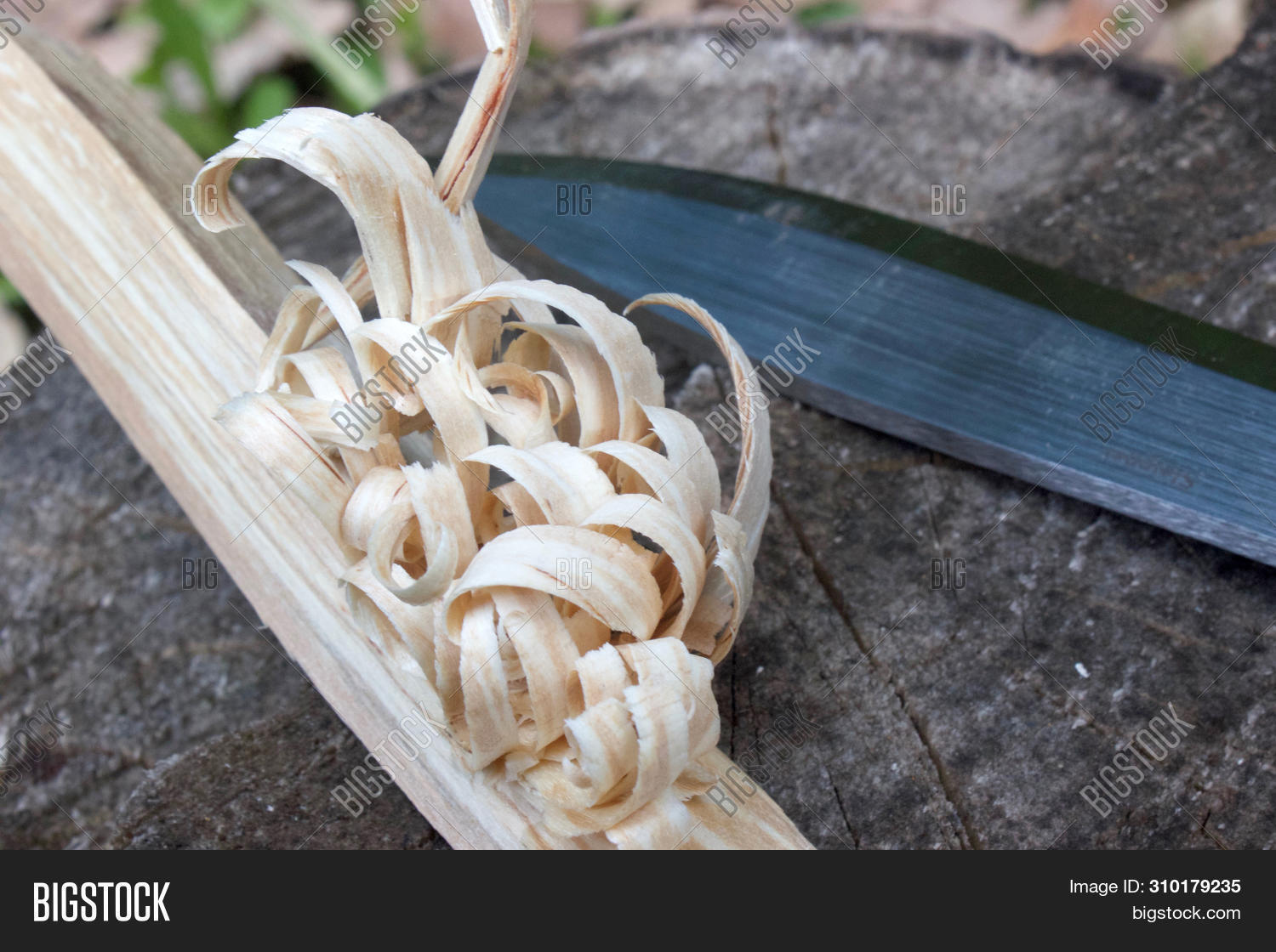 Wooden Feather Stick Image & Photo (Free Trial) | Bigstock