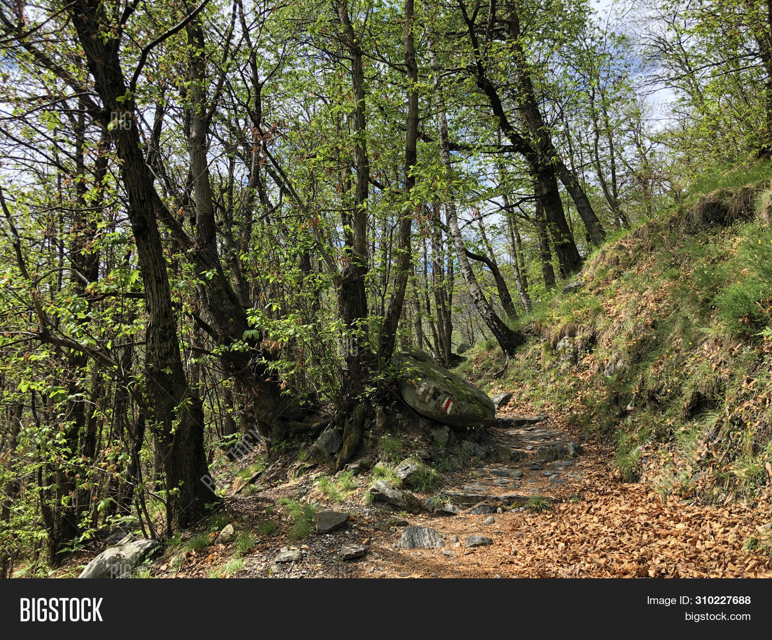Hiking Walking Trails Image & Photo (Free Trial) | Bigstock