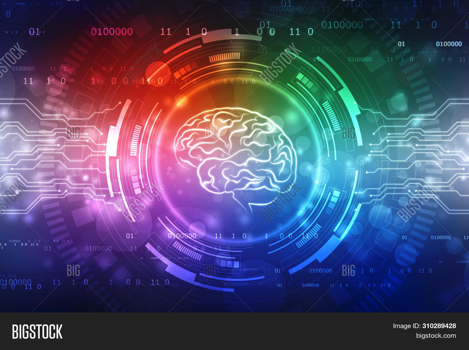Human Brain 2d Image & Photo (Free Trial) | Bigstock