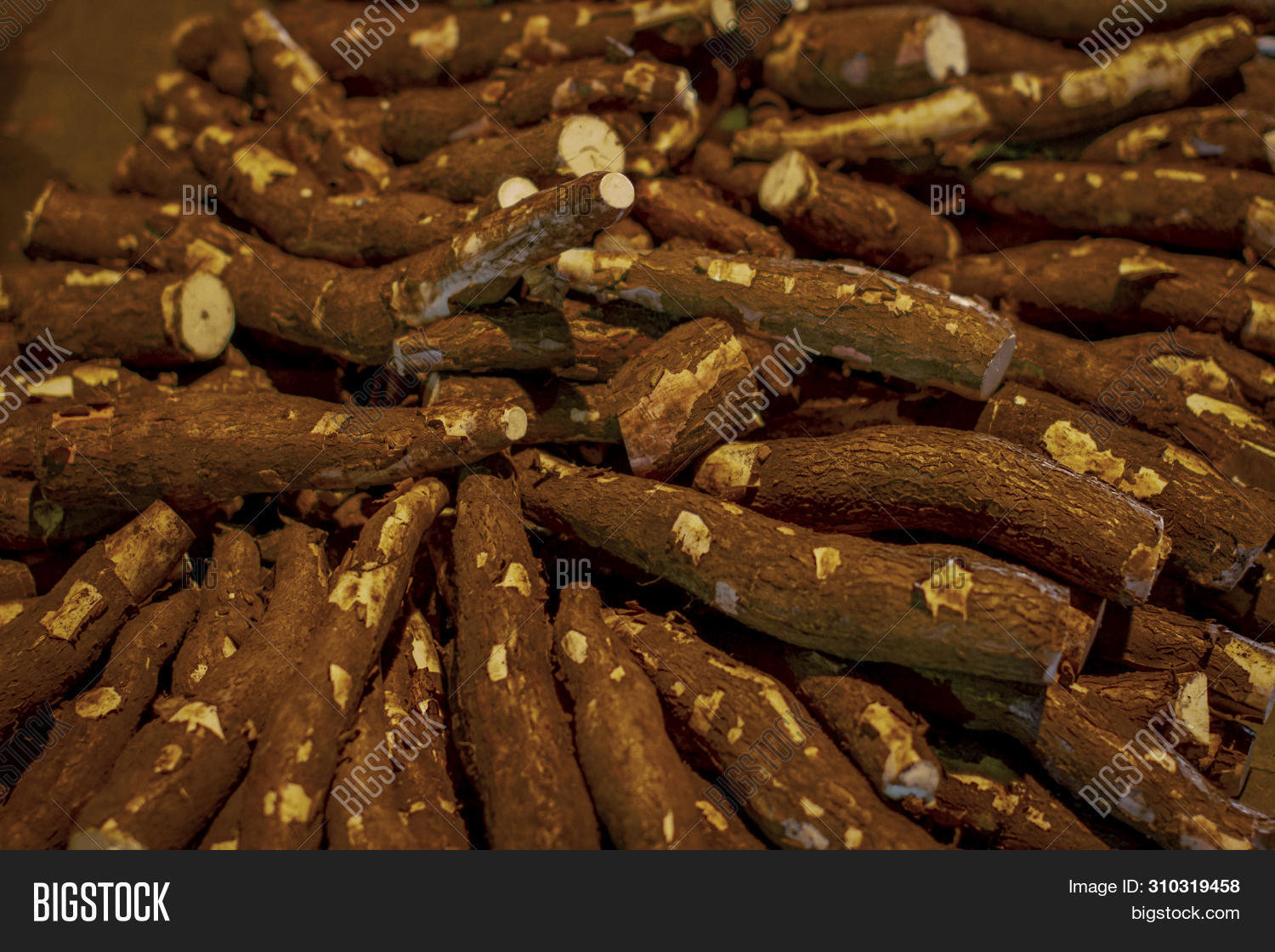 Stack Cassavas Image & Photo (Free Trial) | Bigstock