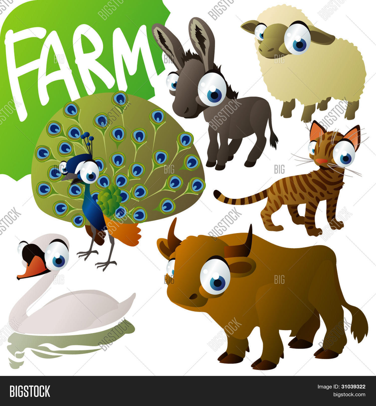 Farm Animals: Peacock Vector & Photo (Free Trial) | Bigstock