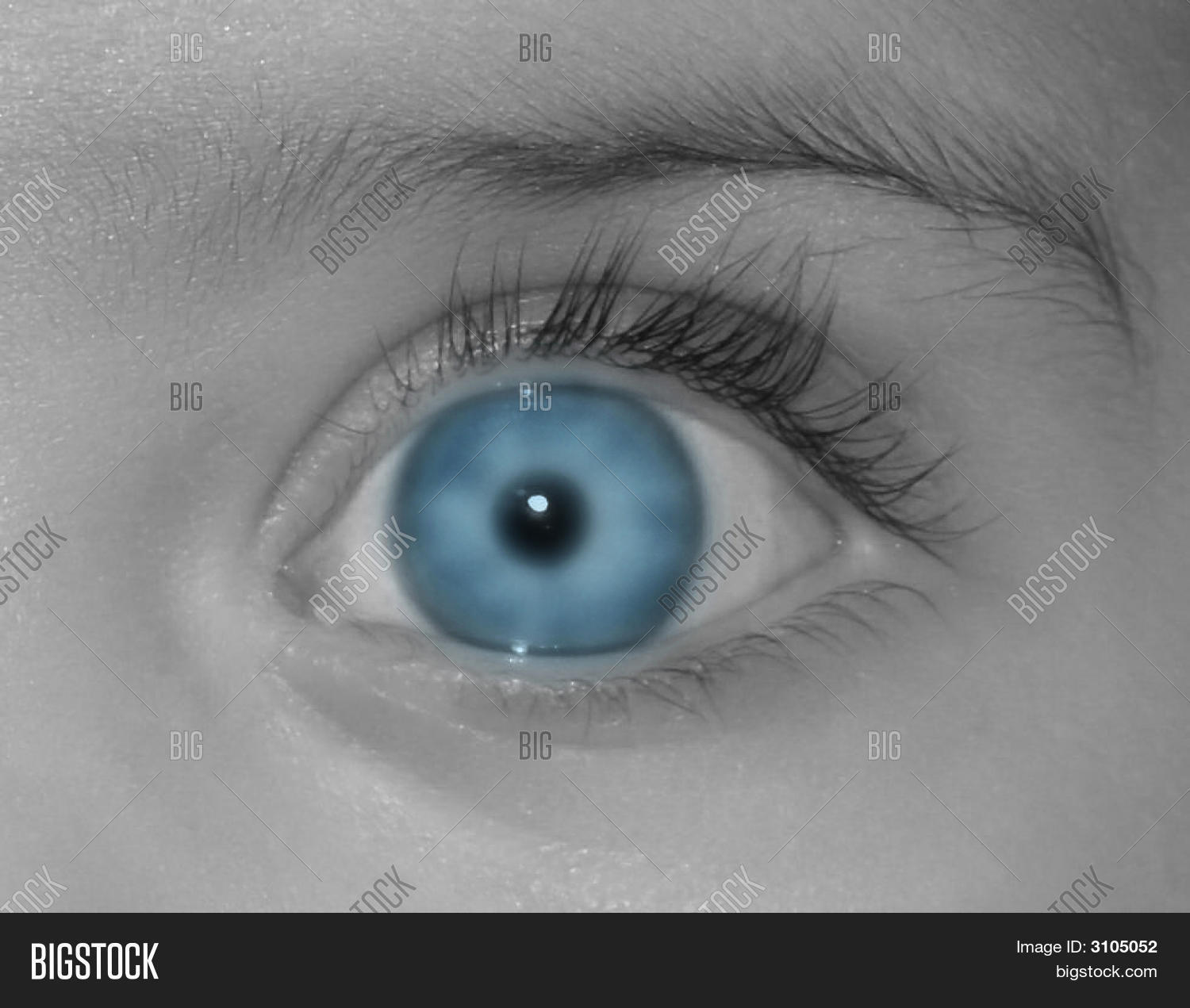 Blue Eye Image & Photo (Free Trial) | Bigstock
