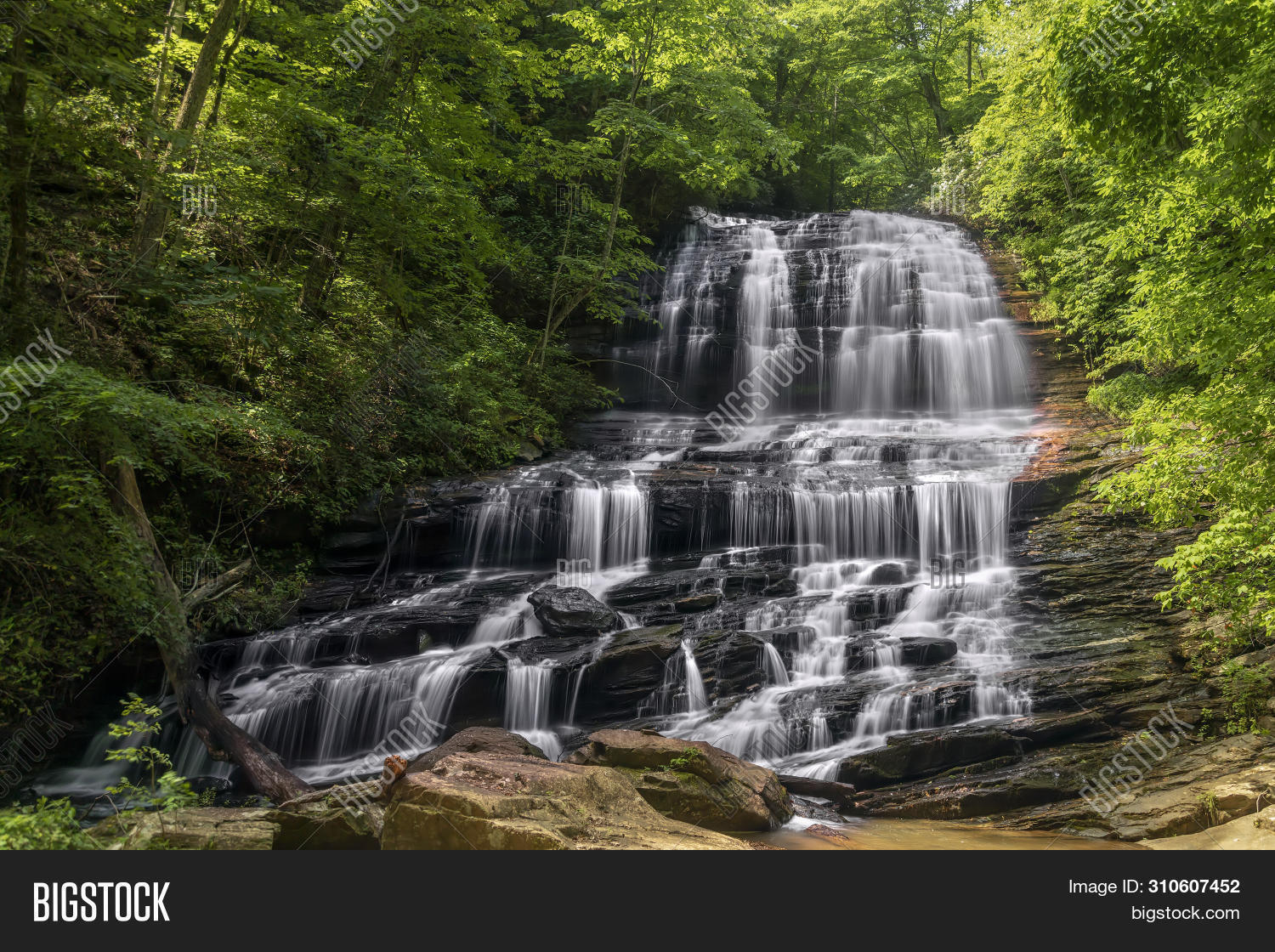 Pearsons Falls North Image & Photo (Free Trial) | Bigstock