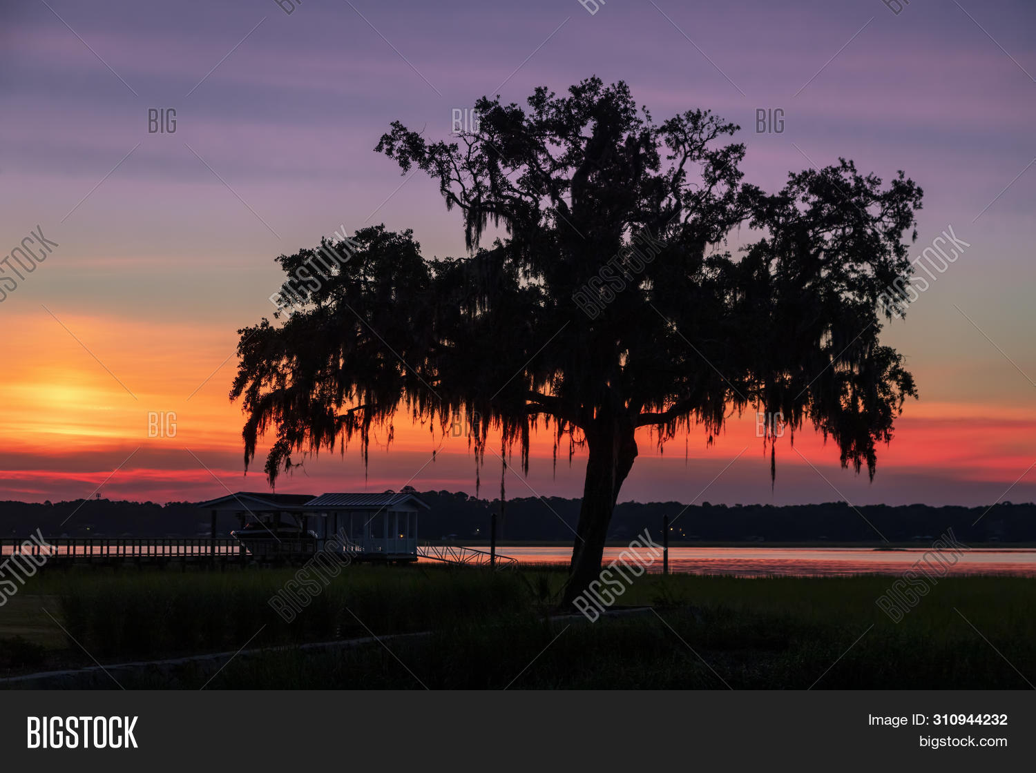Low Country Dawn Image & Photo (Free Trial) | Bigstock