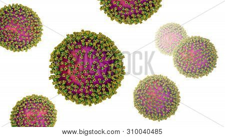 Measles Viruses. 3d Image & Photo (Free Trial) | Bigstock