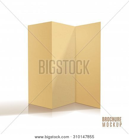 Blank Tri-fold Image & Photo (Free Trial) | Bigstock