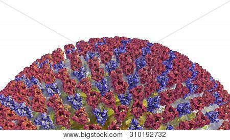 Measles Virus, Closeup Image & Photo (Free Trial) | Bigstock